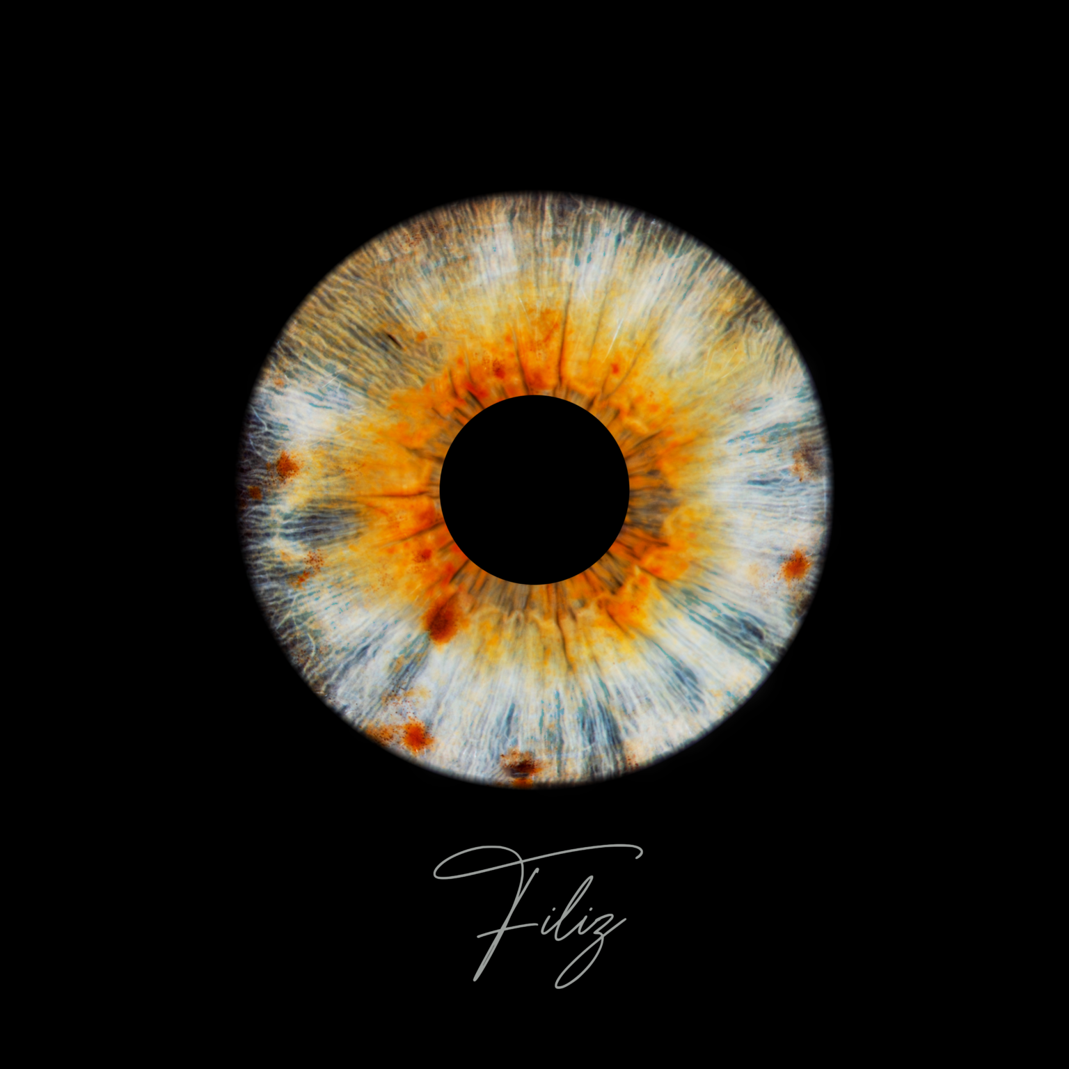 Iris Art Galleria